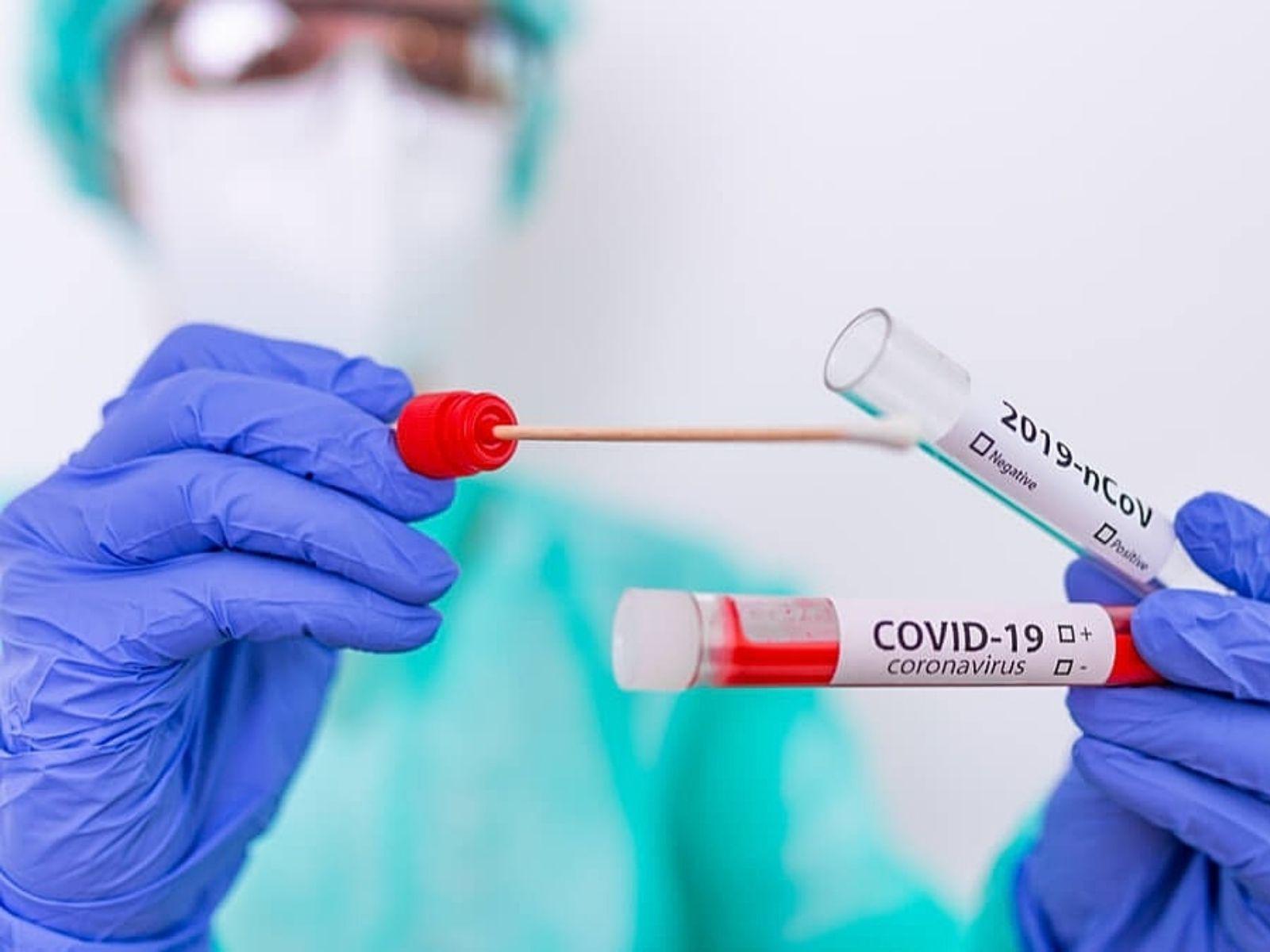 Científicos Argentinos Lograron Producir A Gran Escala Una Proteína