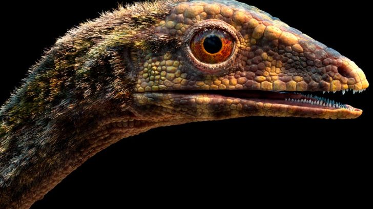 Descifran un enigma que desconcertó a los paleontólogos durante más de ...