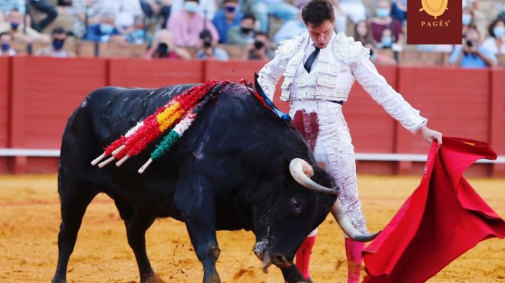 Un argentino en Brasil: Río de Janeiro fue escenario de corridas de ...
