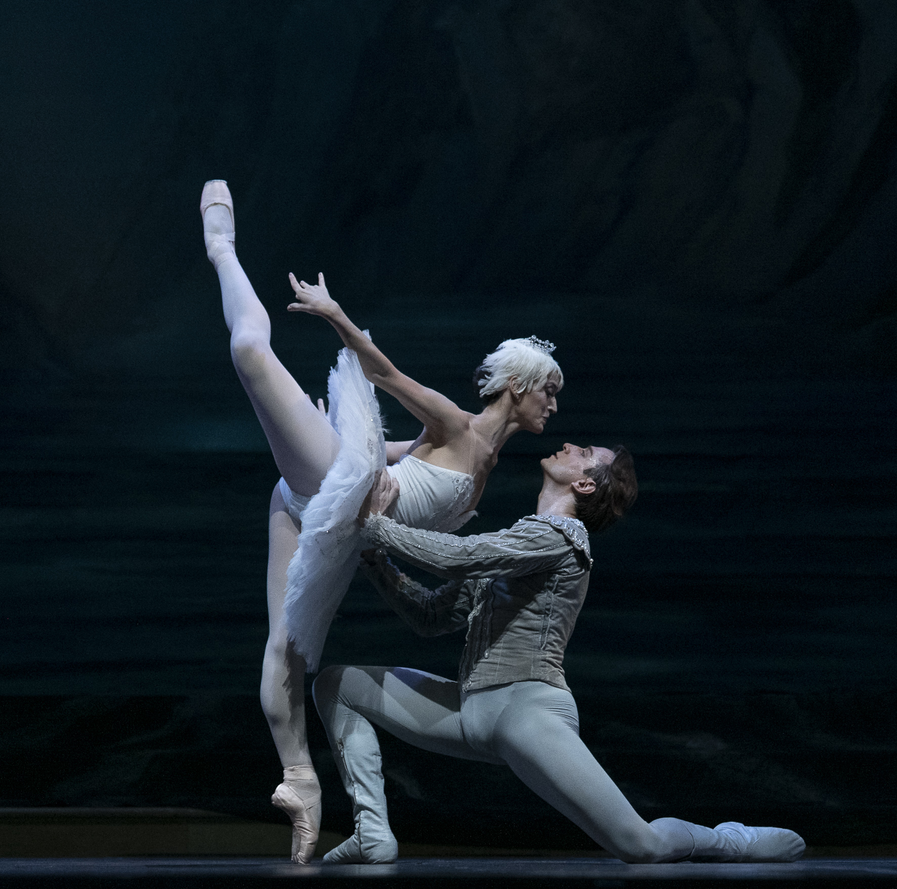 Volvió «El Lago de los Cisnes» al Teatro Colón. Cisne blanco, cisne ...