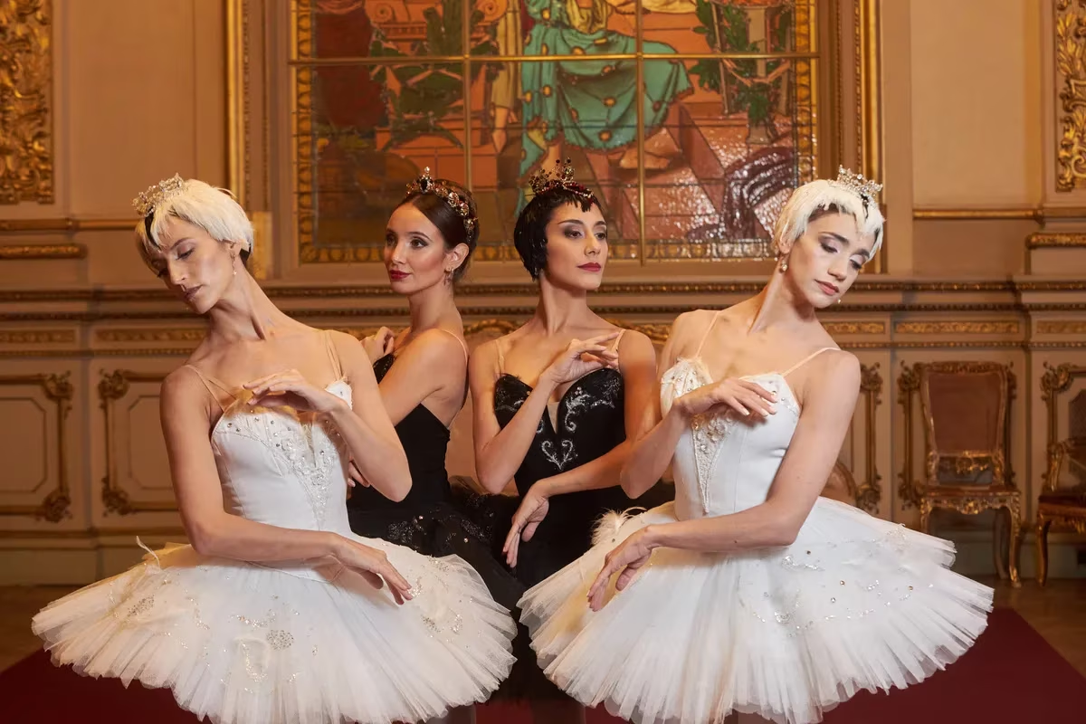 Volvió «El Lago de los Cisnes» al Teatro Colón. Cisne blanco, cisne ...
