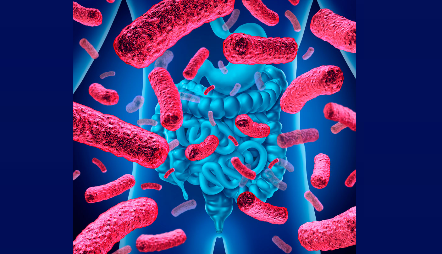 10 aspectos poco conocidos sobre la microbiota intestinal – Diario de ...